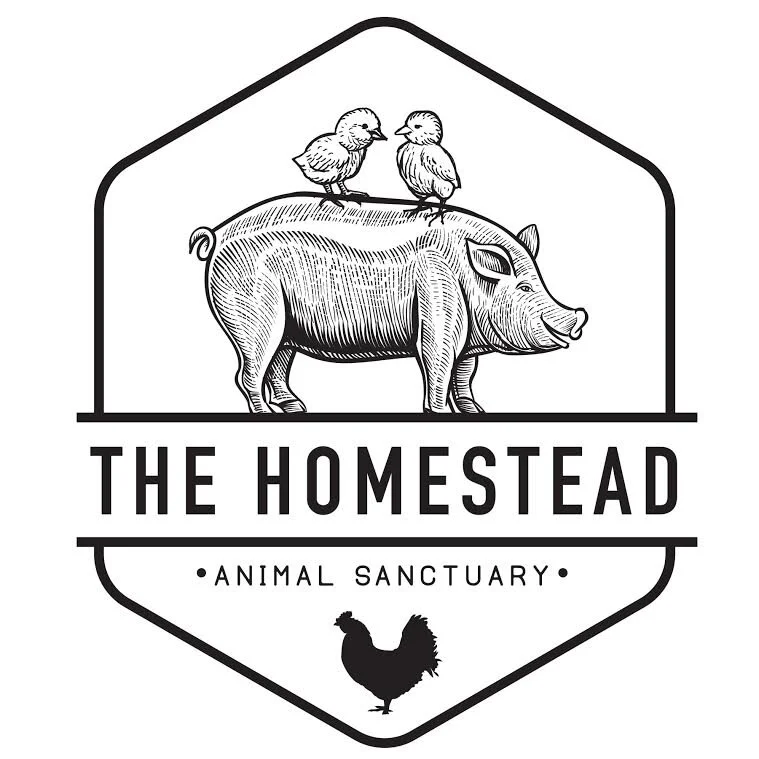 Animal Sanctuary Logo