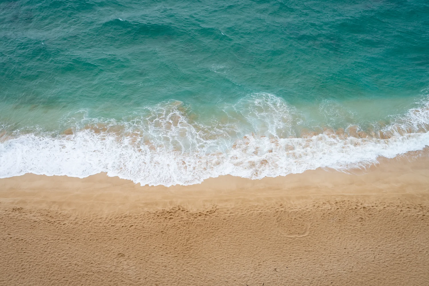 locations-salty-dog-surf-shop