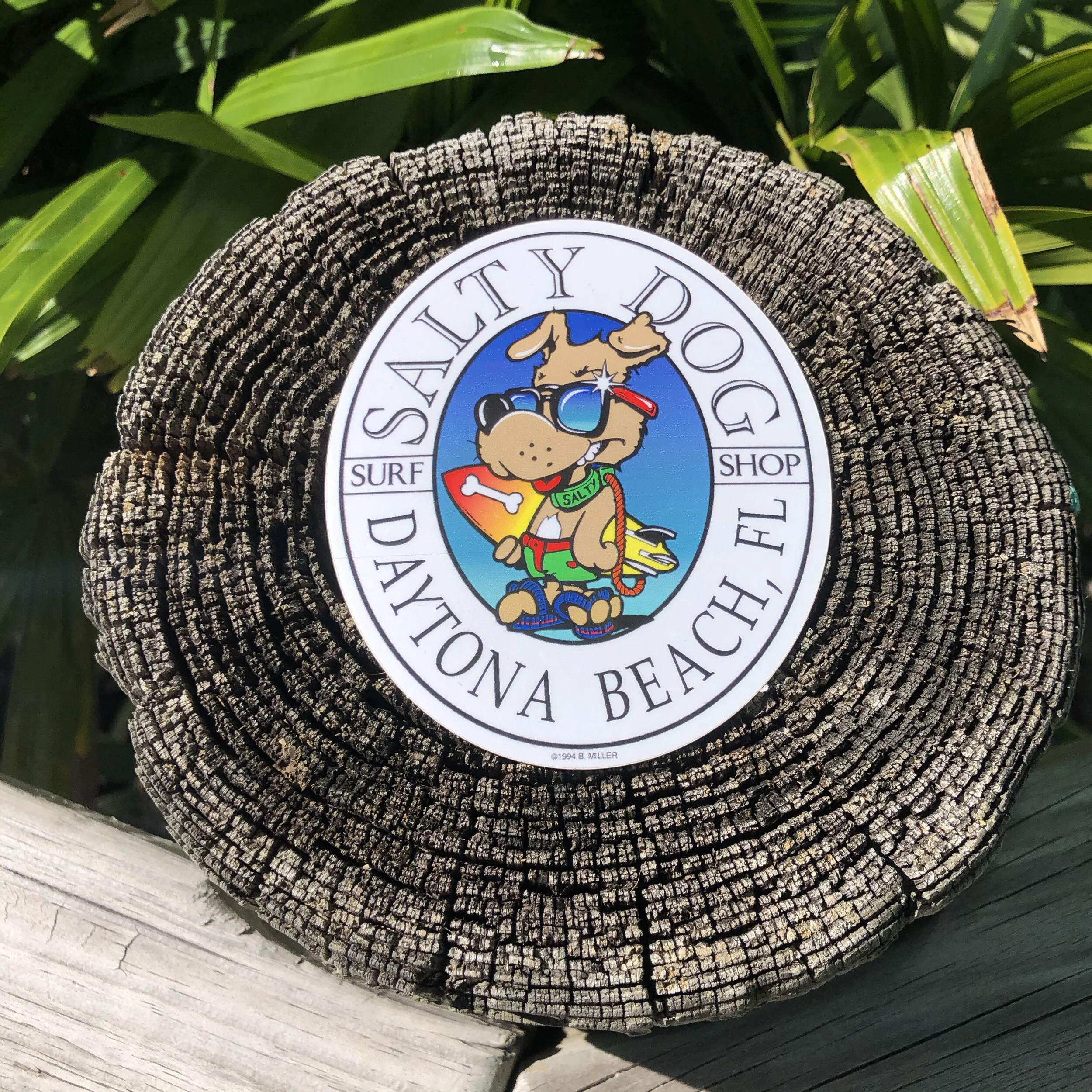 shop-salty-dog-surf-shop