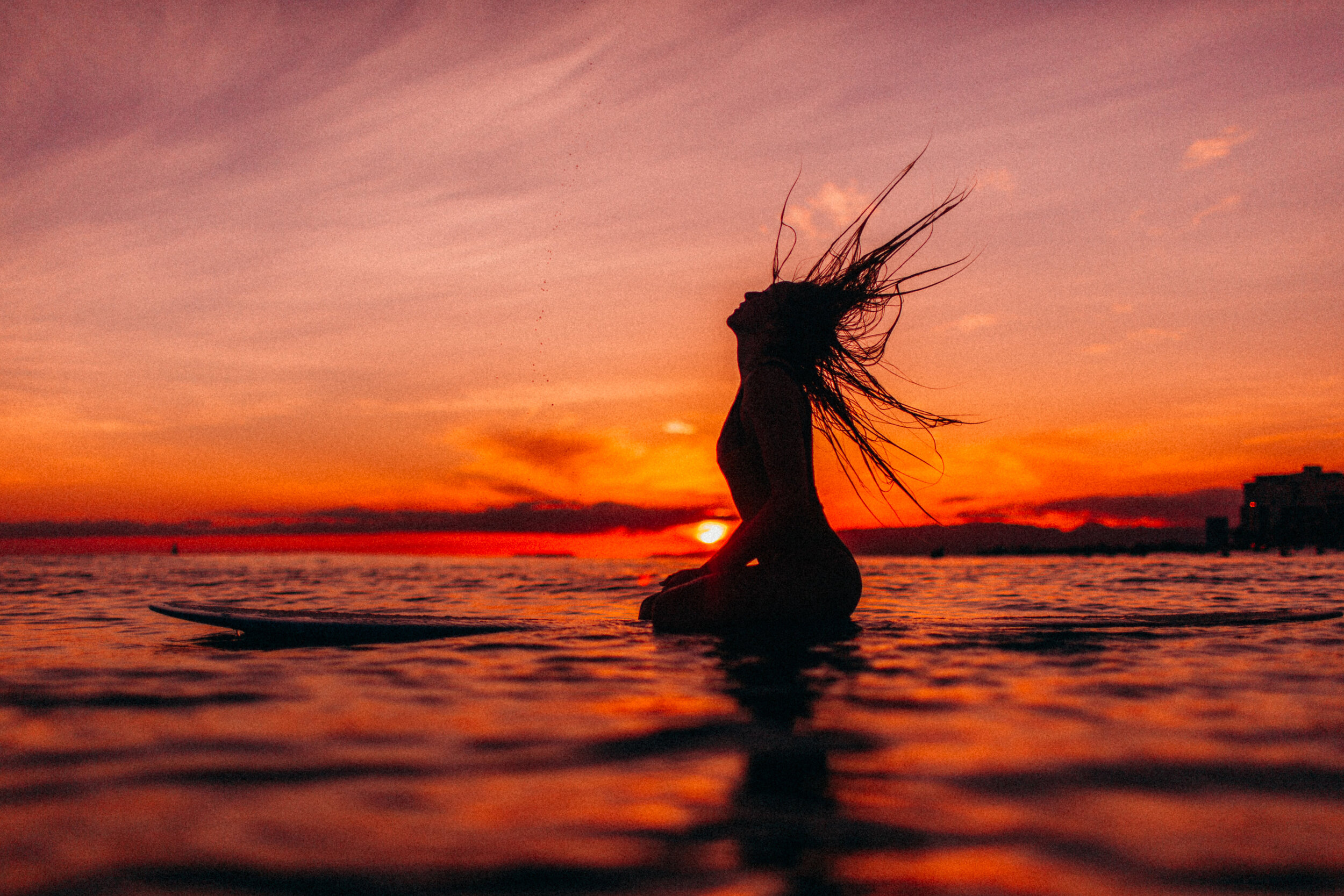 Salty Dog Surf Shop