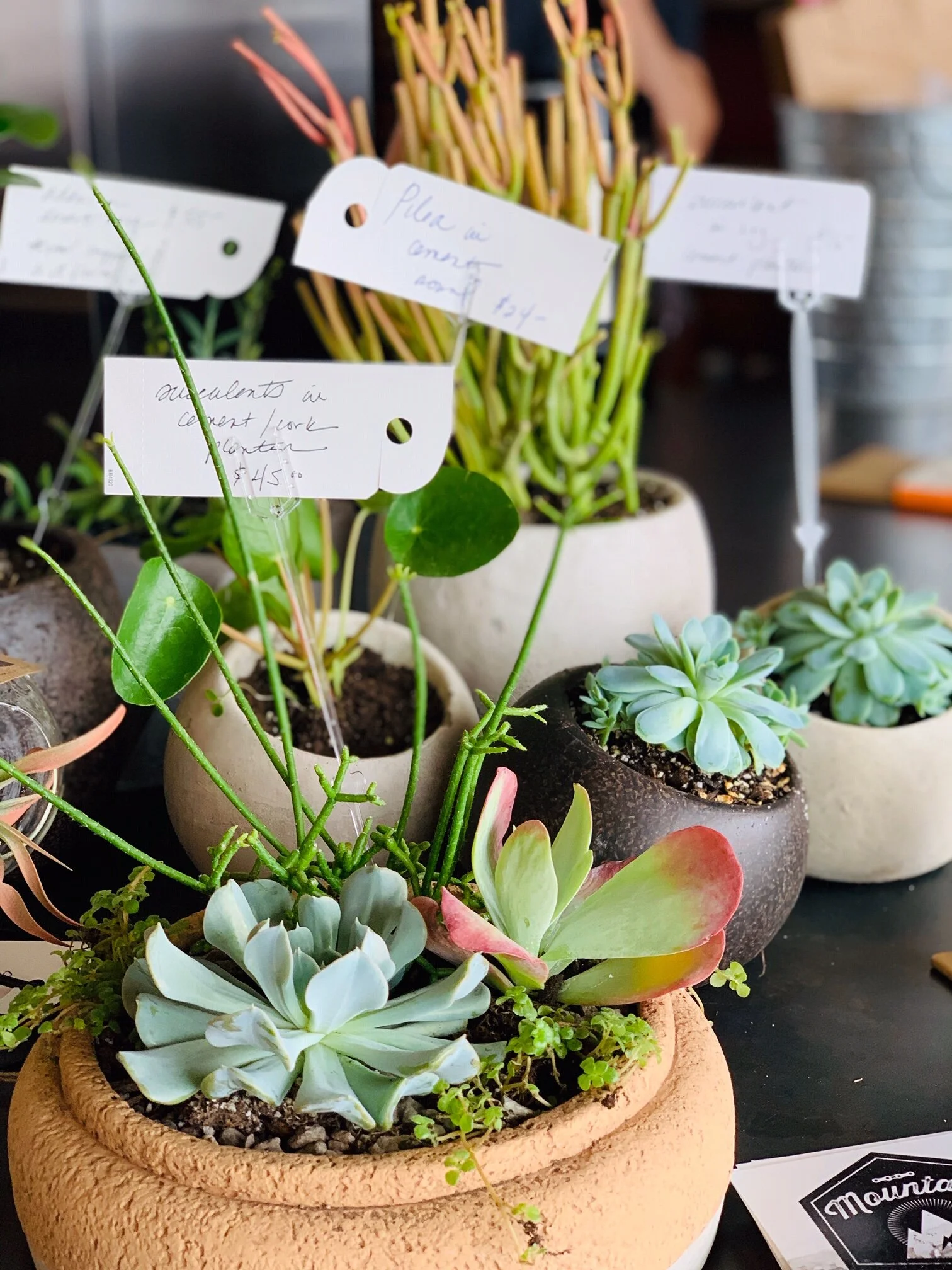 Launch Restaurant Cafe Pictures Interior design — Launch Espresso Food ...