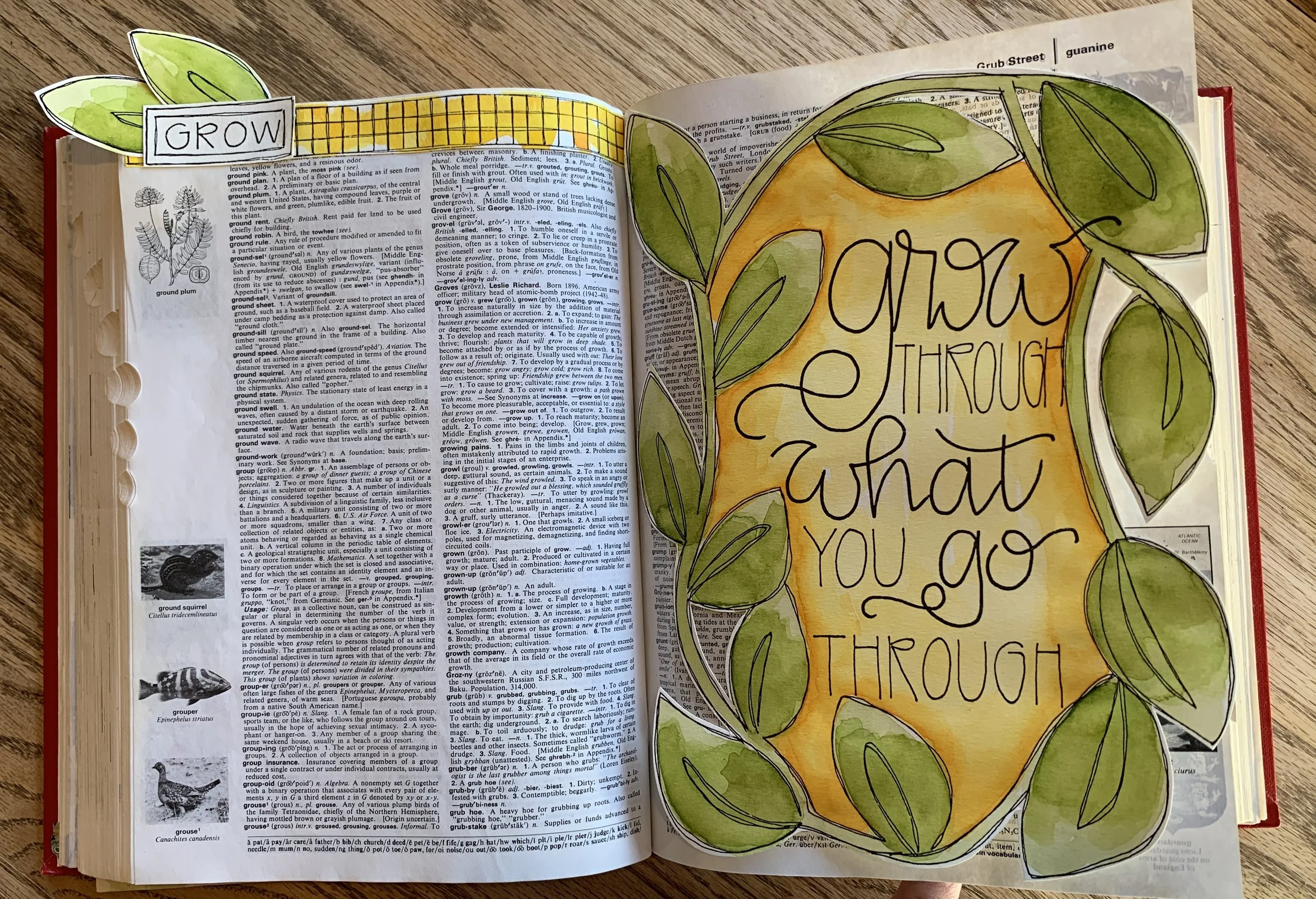 Store 1 — anncorbierescottdesigns