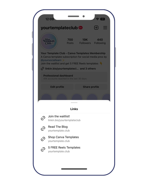 5 Ways to Optimize The Link in Your Instagram Bio (with multiple links ...