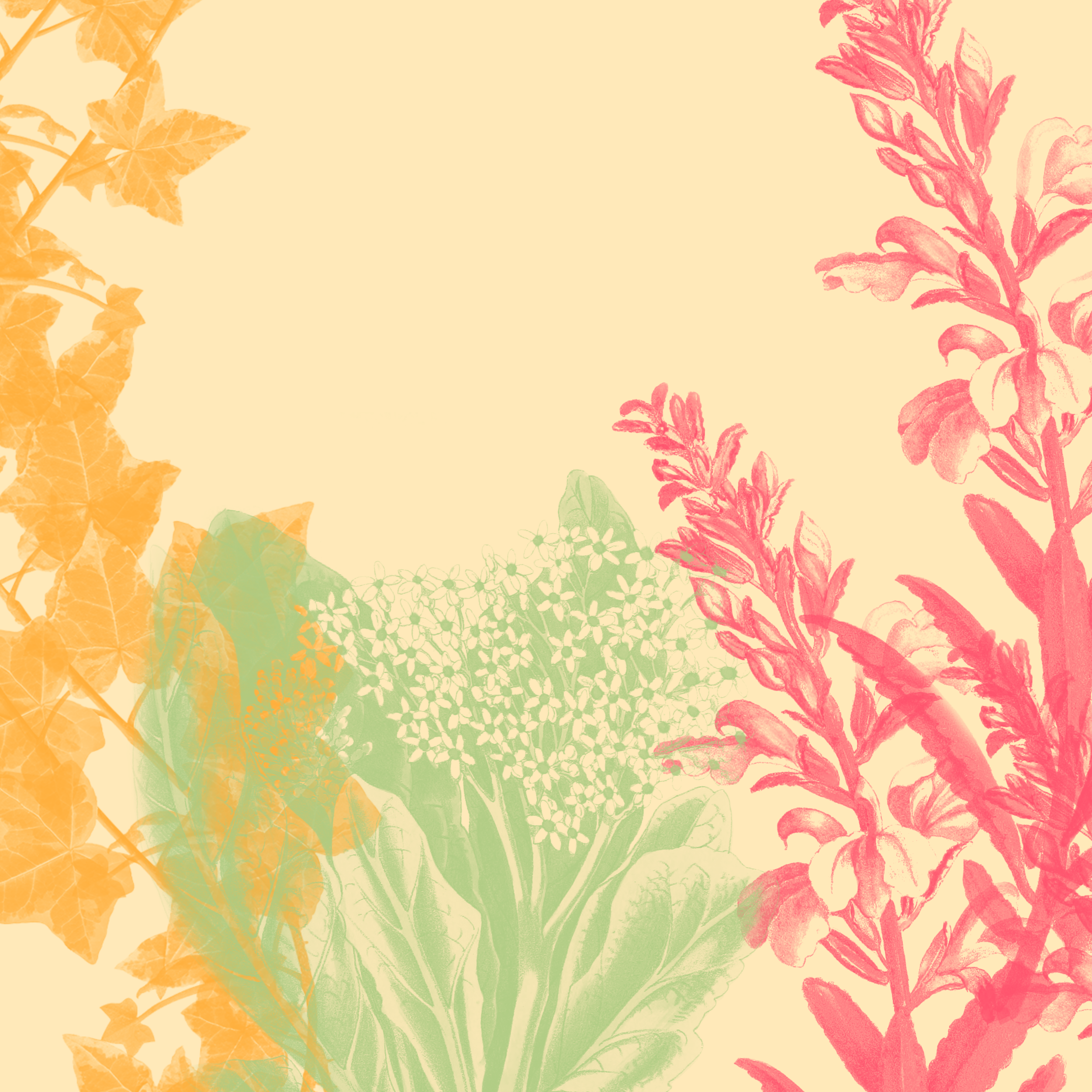 Tab Time Show — Tabitha Brown