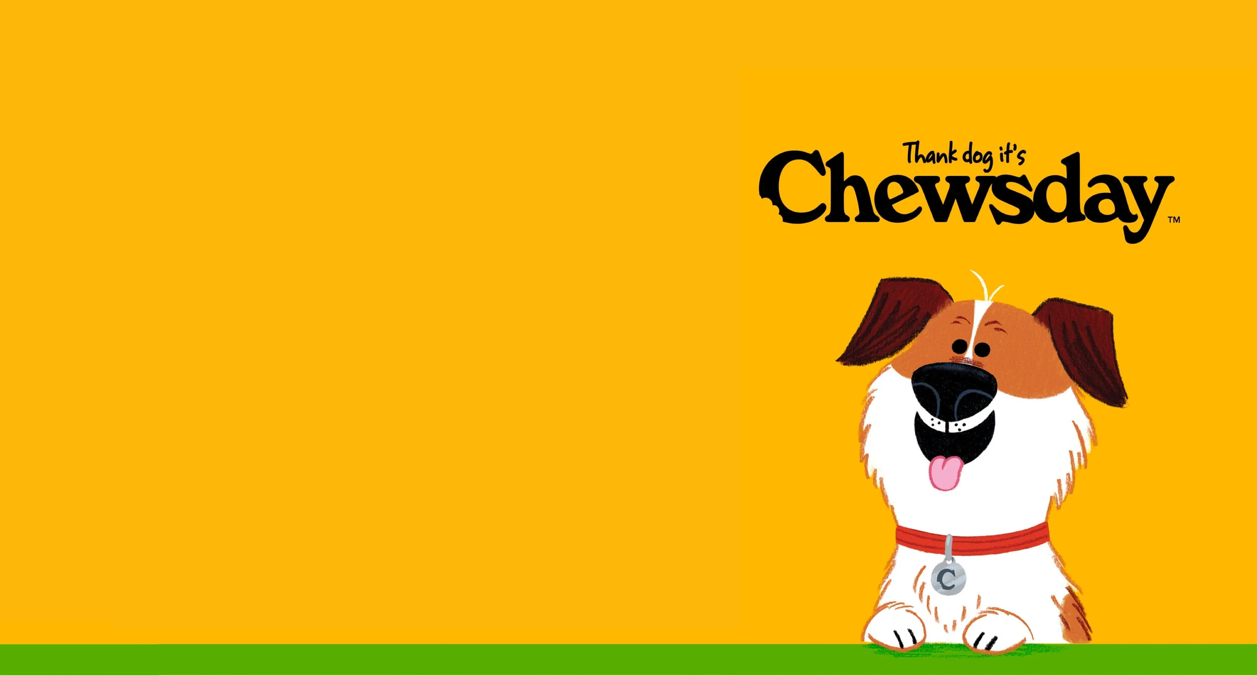 Chewsday — Growing Brands People Love