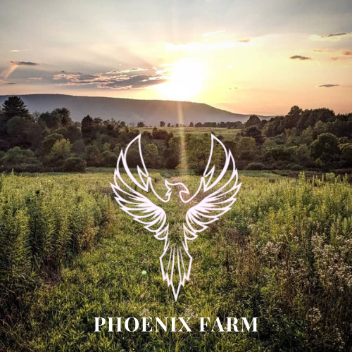 Phoenix Farm — HHWA