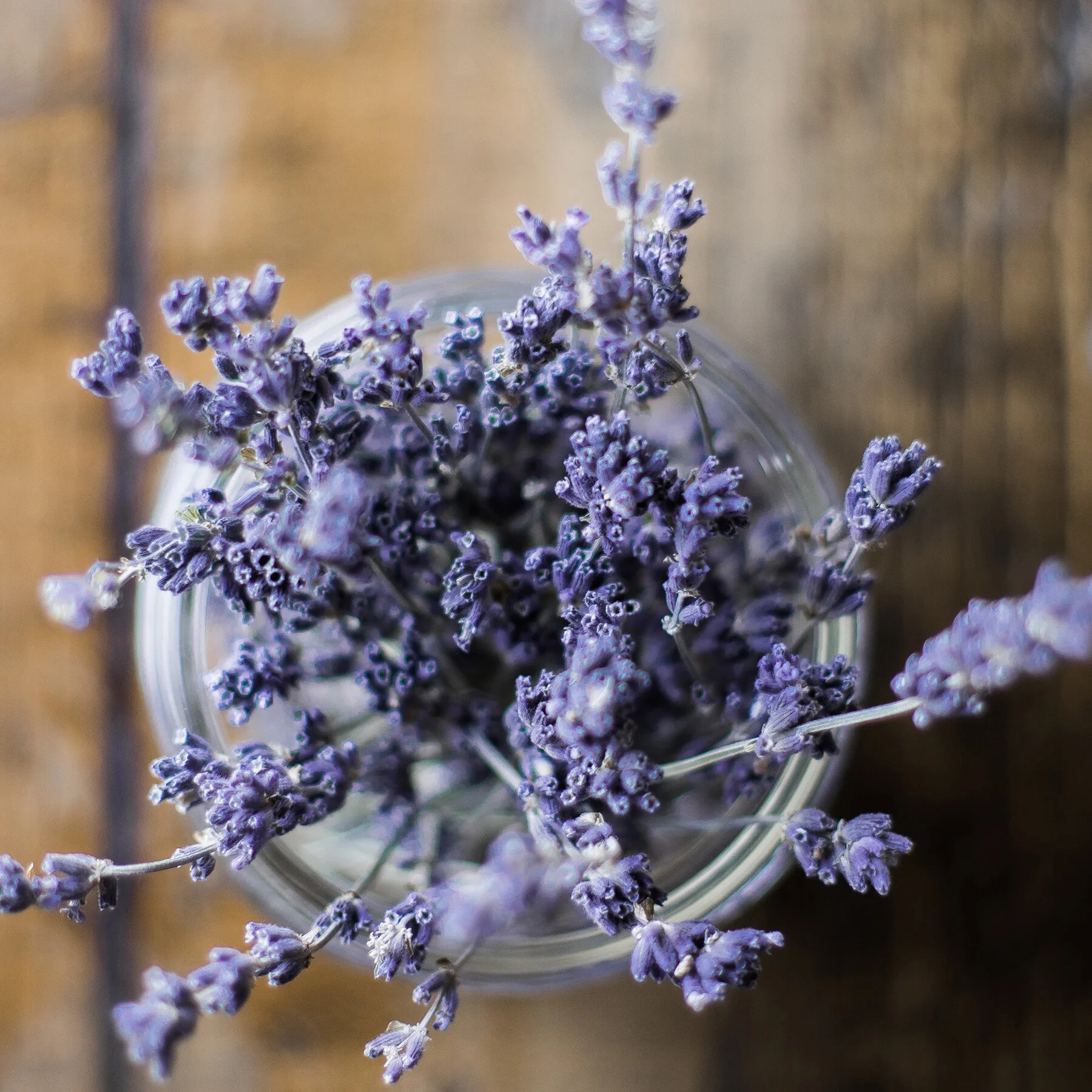 Glacier View Lavender | Oregon's Finest Lavender Farm & Products