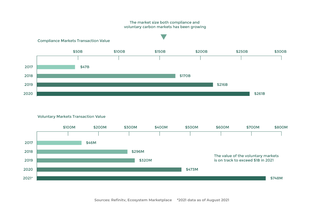 Carbon Credits market explainer — Caldera House