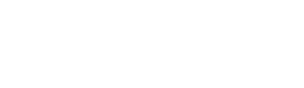 TWOJEYS — FLENDER GROUP