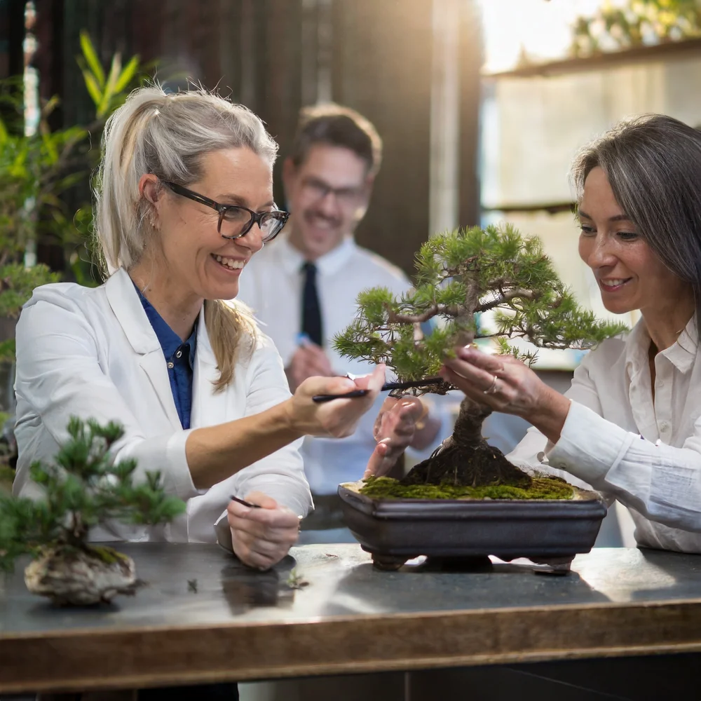 Central Coast Bonsai Club Inc.