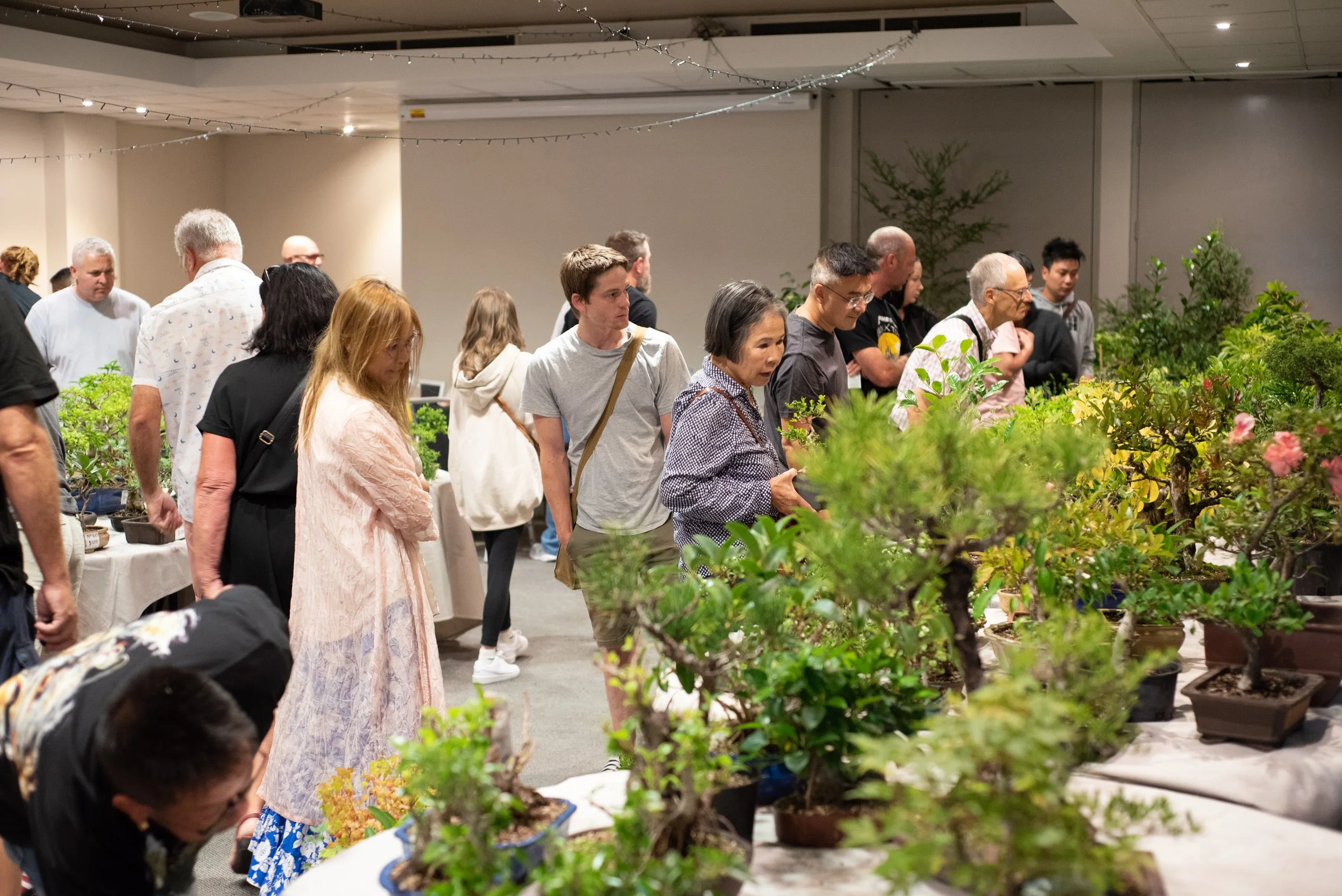 Central Coast Bonsai Club Inc.