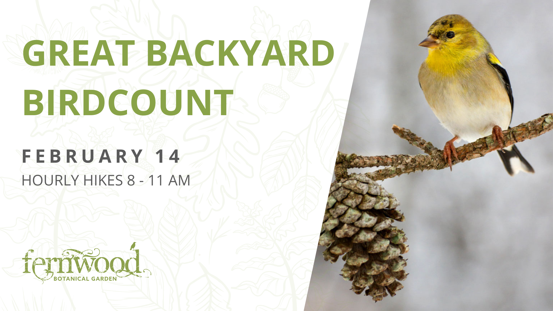GREAT BACKYARD BIRD COUNT — Fernwood Botanical Garden