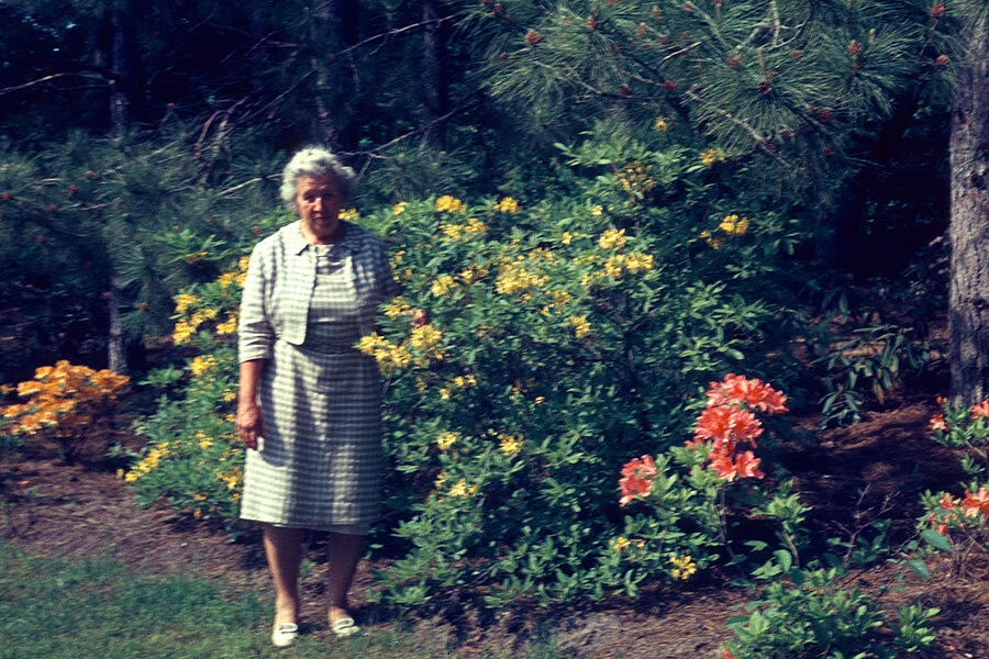 History — Fernwood Botanical Garden