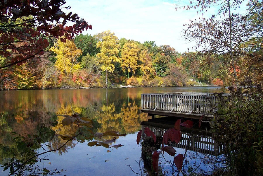 Nature Preserve & Trails — Fernwood Botanical Garden