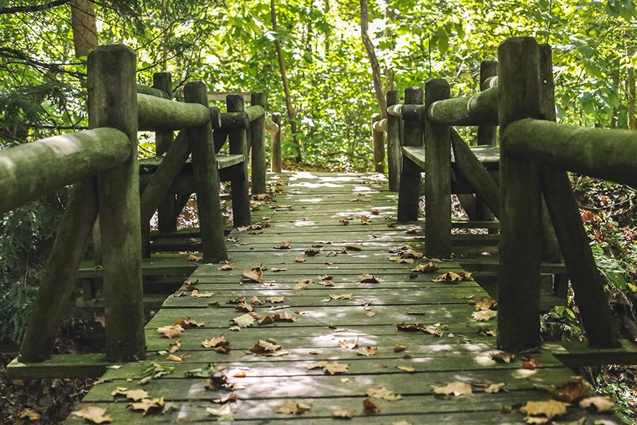 Nature Preserve & Trails — Fernwood Botanical Garden