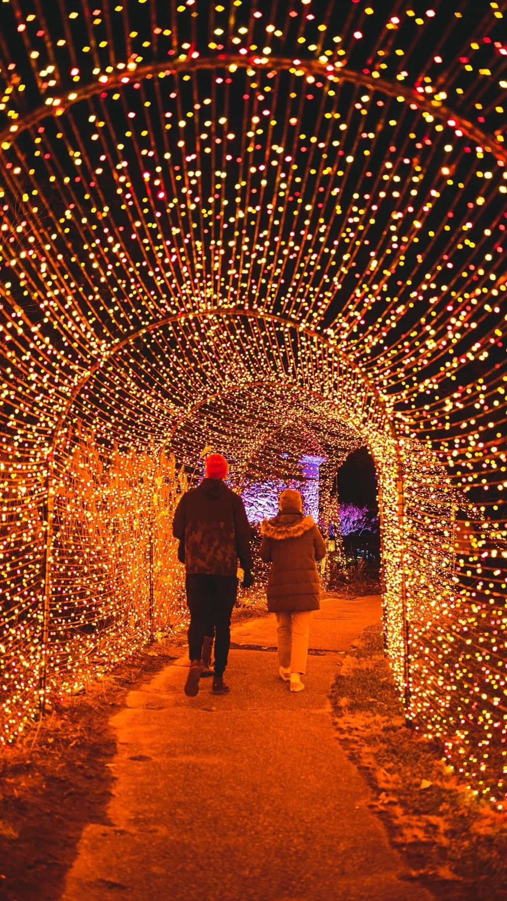 Tickets - LIGHTS at Fernwood — Fernwood Botanical Garden