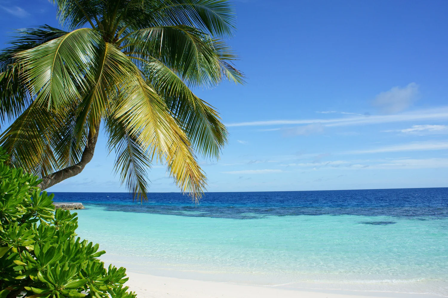 Belize Properties — Shore Caye Realty | Keller Williams Belize