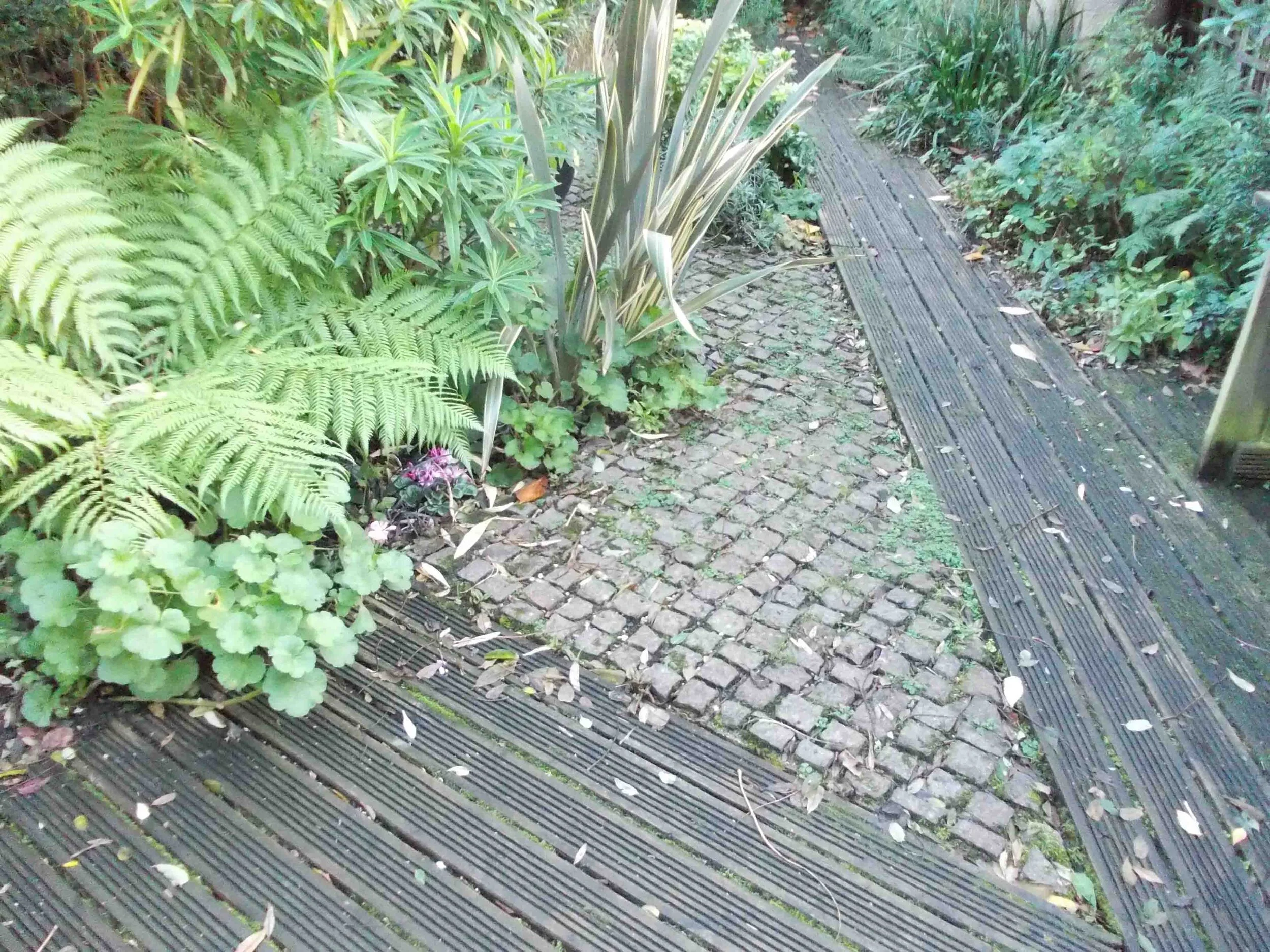 Modern Garden Design | Green London Landscaping Co. | North London