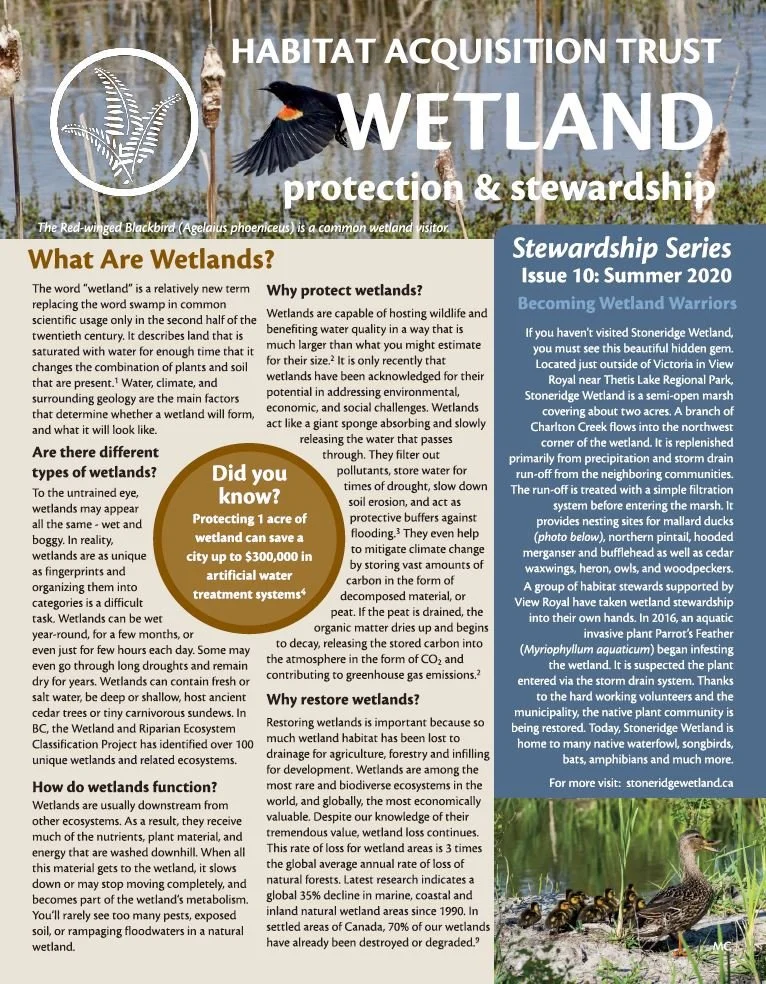 About Western Painted Turtles — Habitat Acquisition Trust