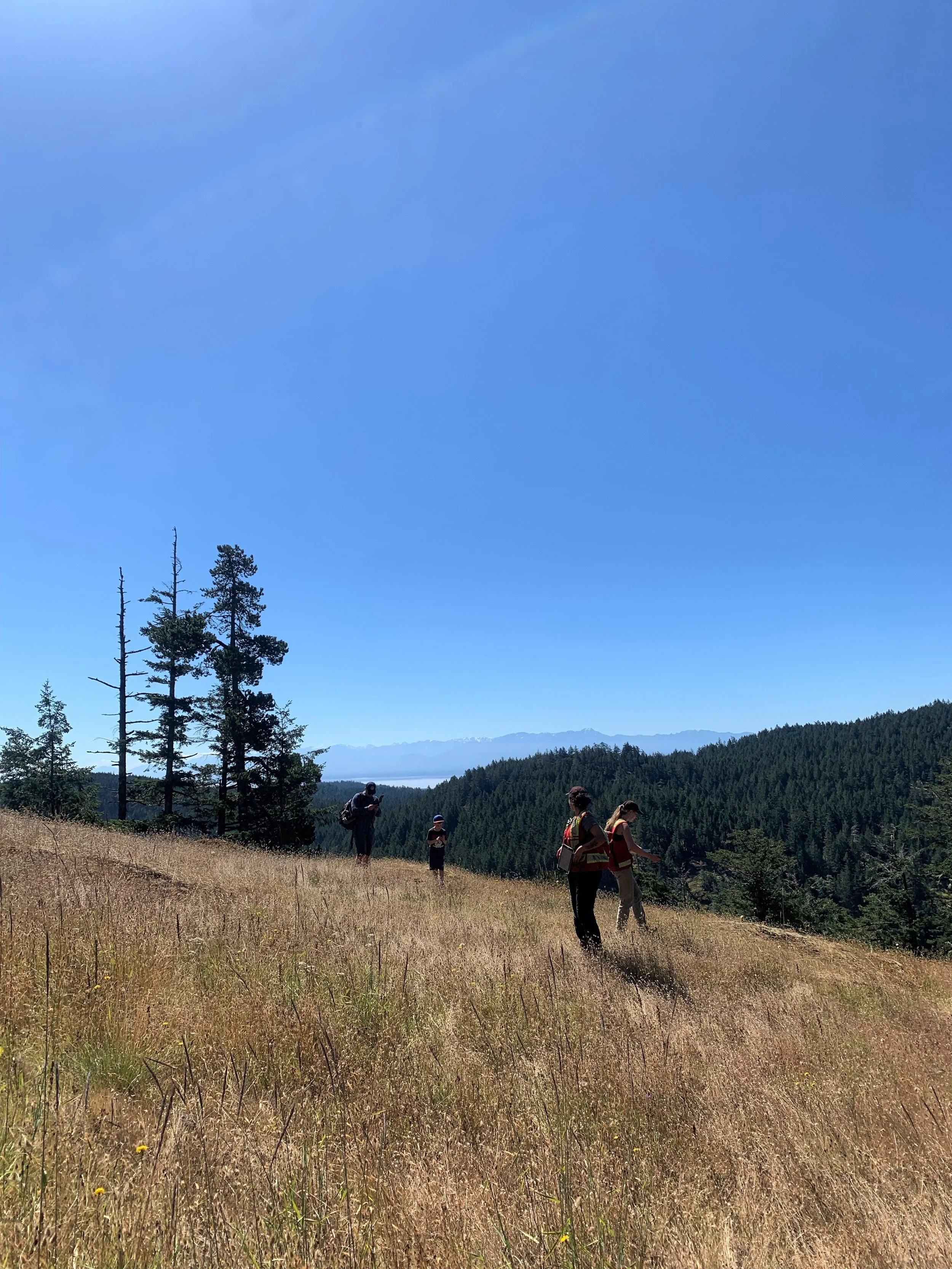 Covenant Monitoring — Habitat Acquisition Trust