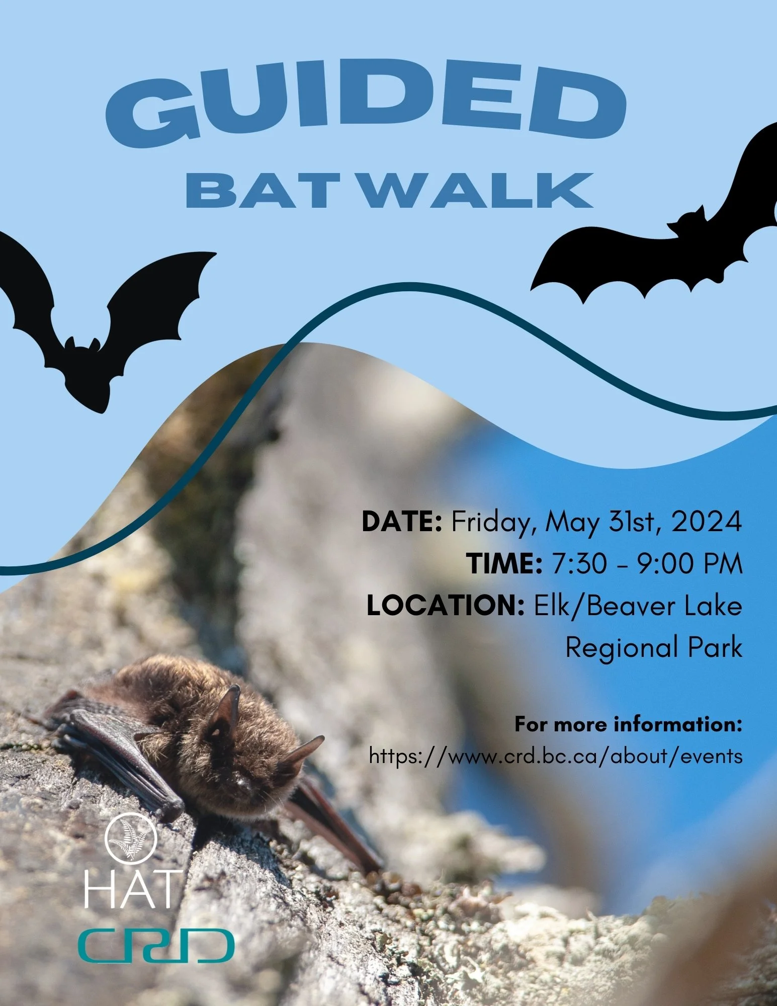 Guided Bat Walk — Habitat Acquisition Trust