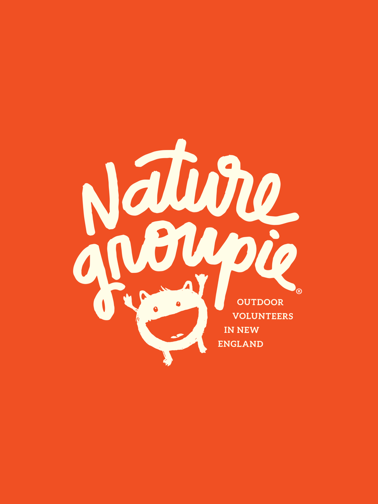 Pixels & Pulp Maine-based Graphic Design Studio Nature Groupie Branding ...