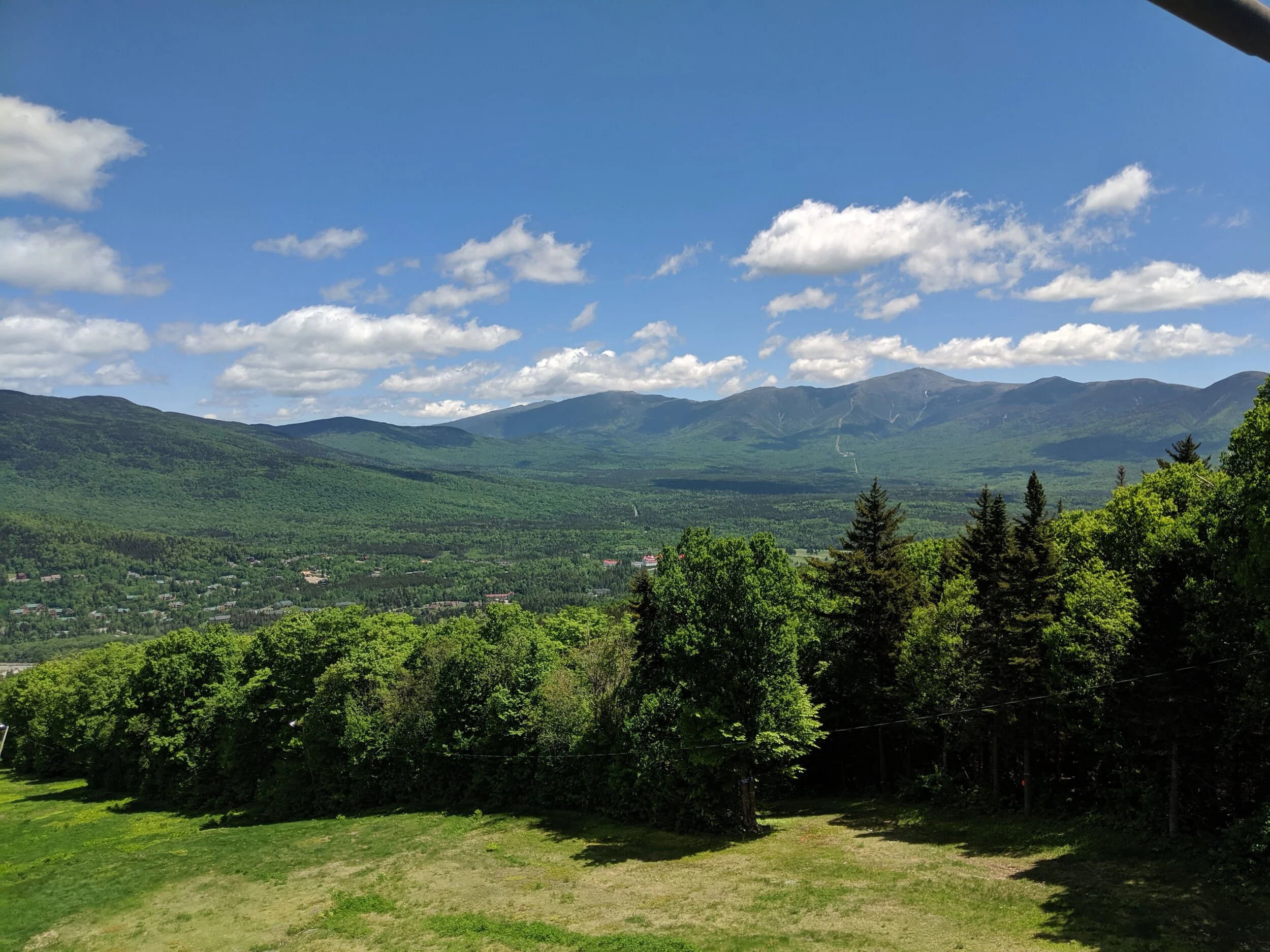 Max Kozlov | Science Journalist