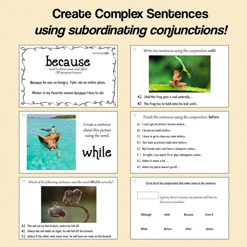Expand-A-Sentence Photo Cards for Teletherapy — The Speech Express