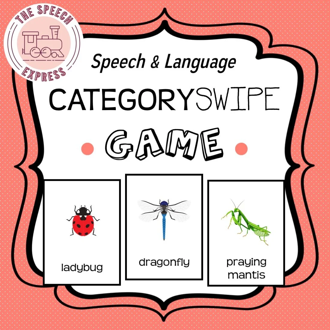 Describing Strategies File Folder for Push-In — The Speech Express