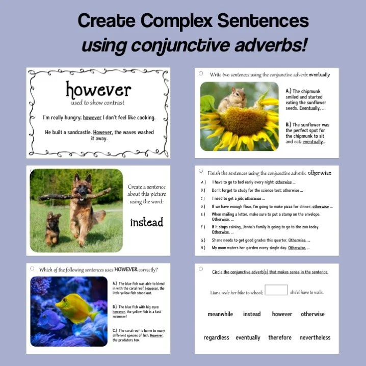 Verb Photo Cards for Speech and Language Therapy — The Speech Express