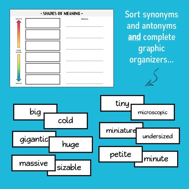 Divergent Naming Categories: Word Ring for Speech and Language — The ...