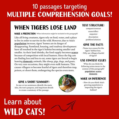 Reading Comprehension Strategies and Graphic Organizers — The Speech ...