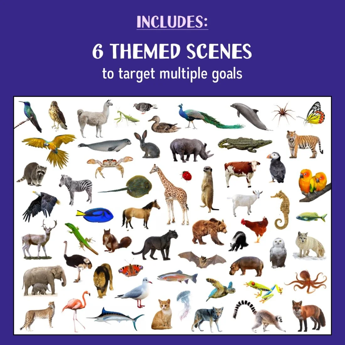 Articulation Word Lists for Speech Therapy — The Speech Express