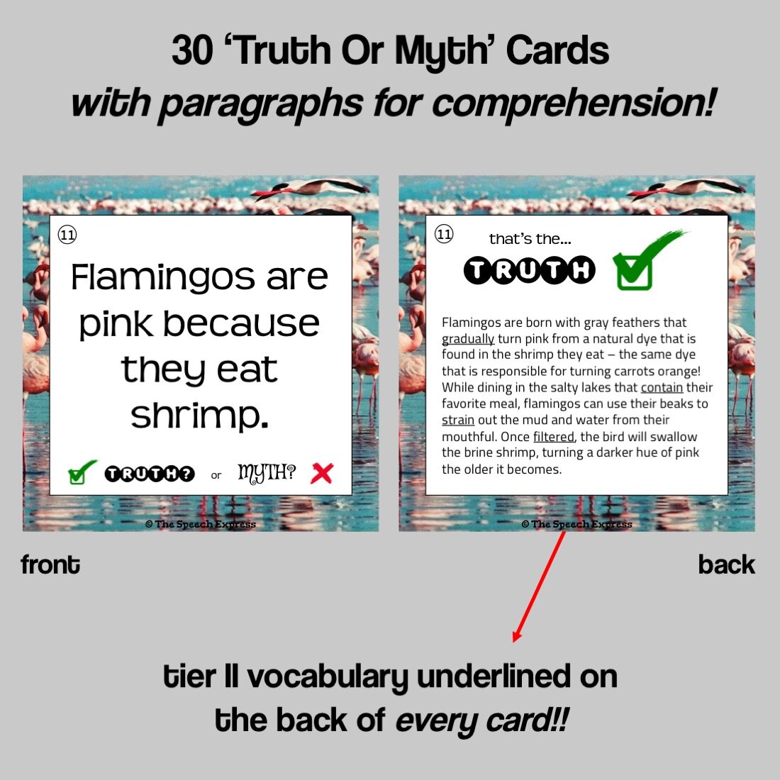 Truth or Myth Winter Mini Set: An Activity for Mixed Speech and ...