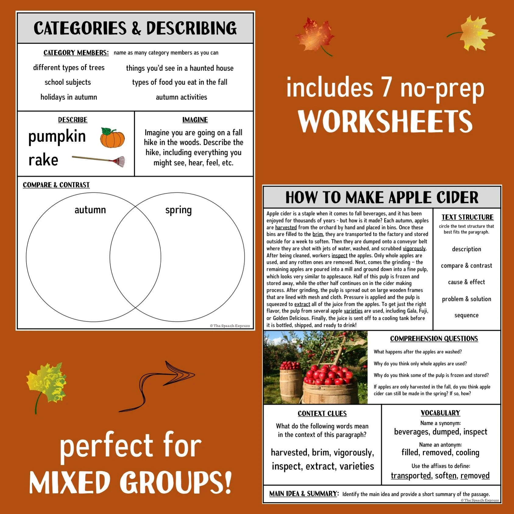 PIRATES: No-Prep Themed Mini Unit — The Speech Express