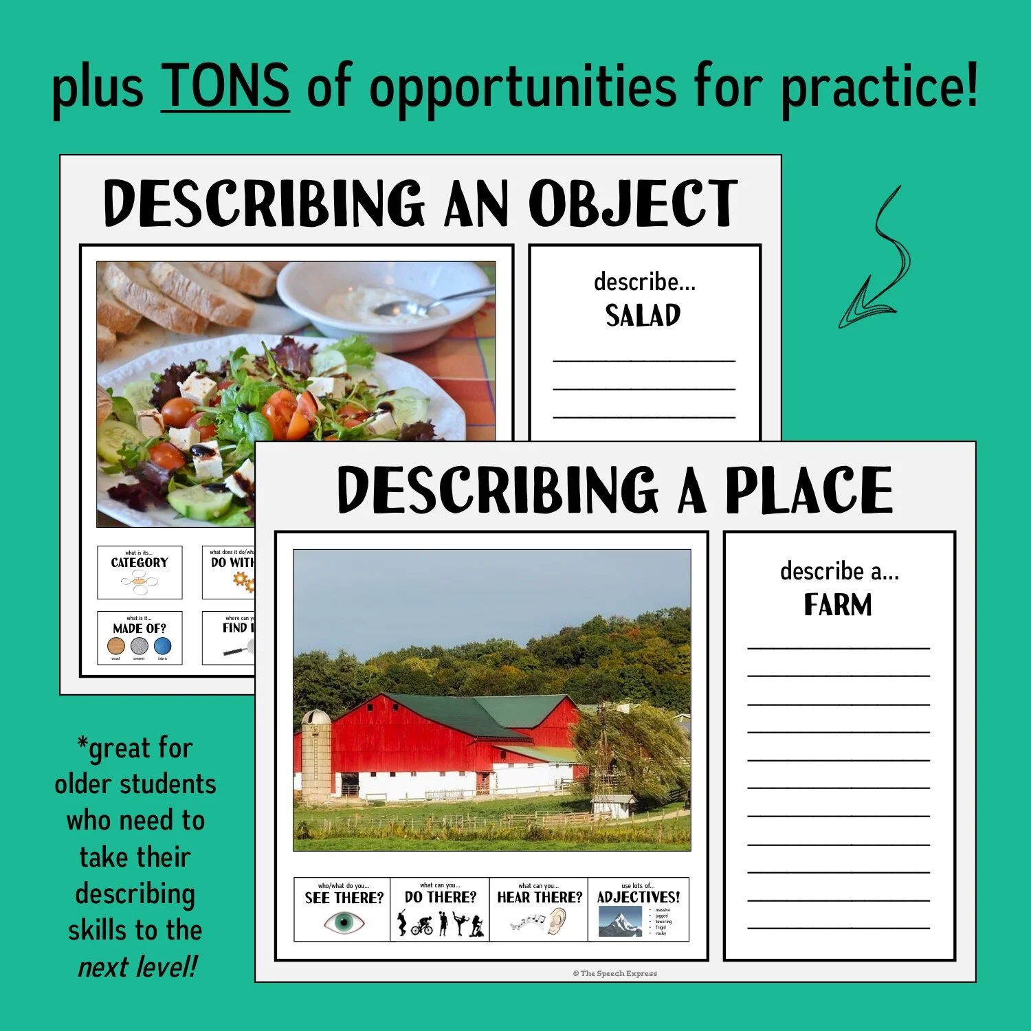 Describing Strategies File Folder for Push-In — The Speech Express