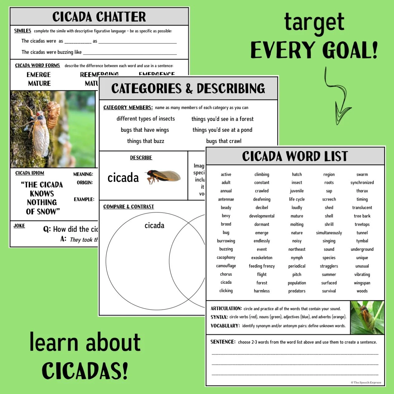 PIRATES: No-Prep Themed Mini Unit — The Speech Express