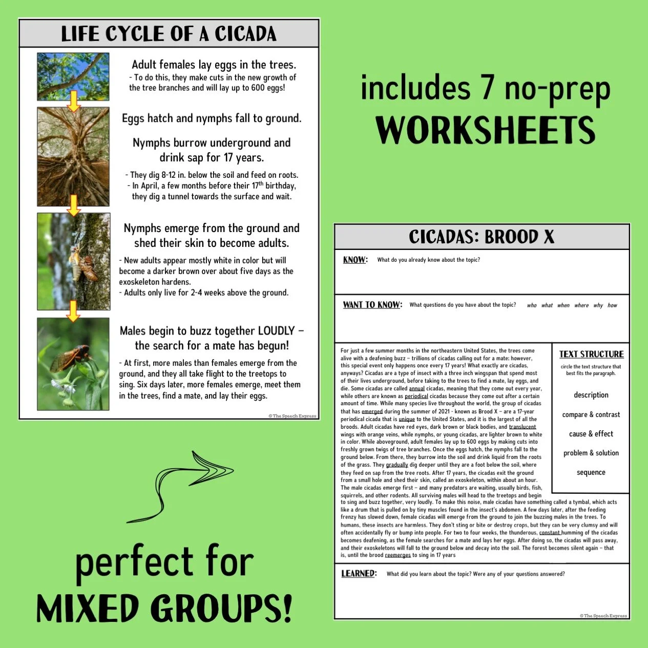 PETS: No-Prep Themed Mini Unit for Speech and Language — The Speech Express