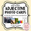 Divergent Naming Categories: Word Ring for Speech and Language — The ...