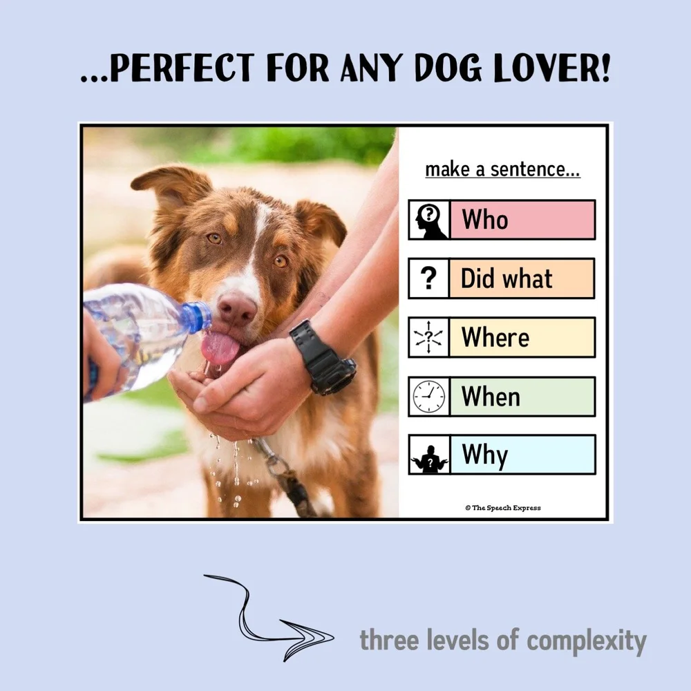 Coordinating Conjunctions Unit — The Speech Express