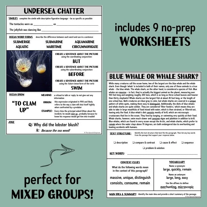 The Earth Mini Unit — The Speech Express