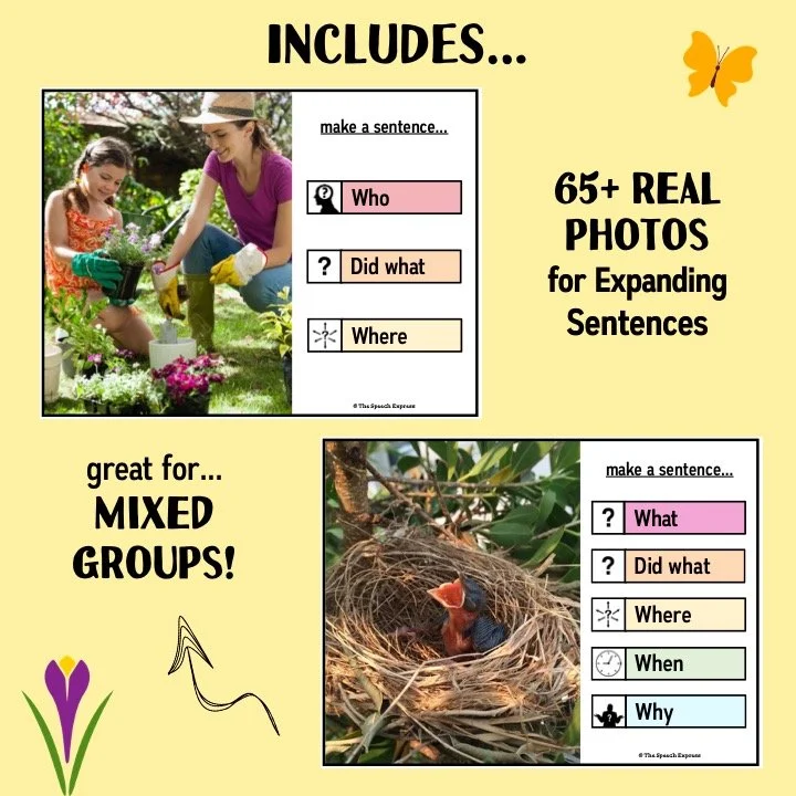 Sports and Hobbies: Expanding Sentences Photo Cards — The Speech Express