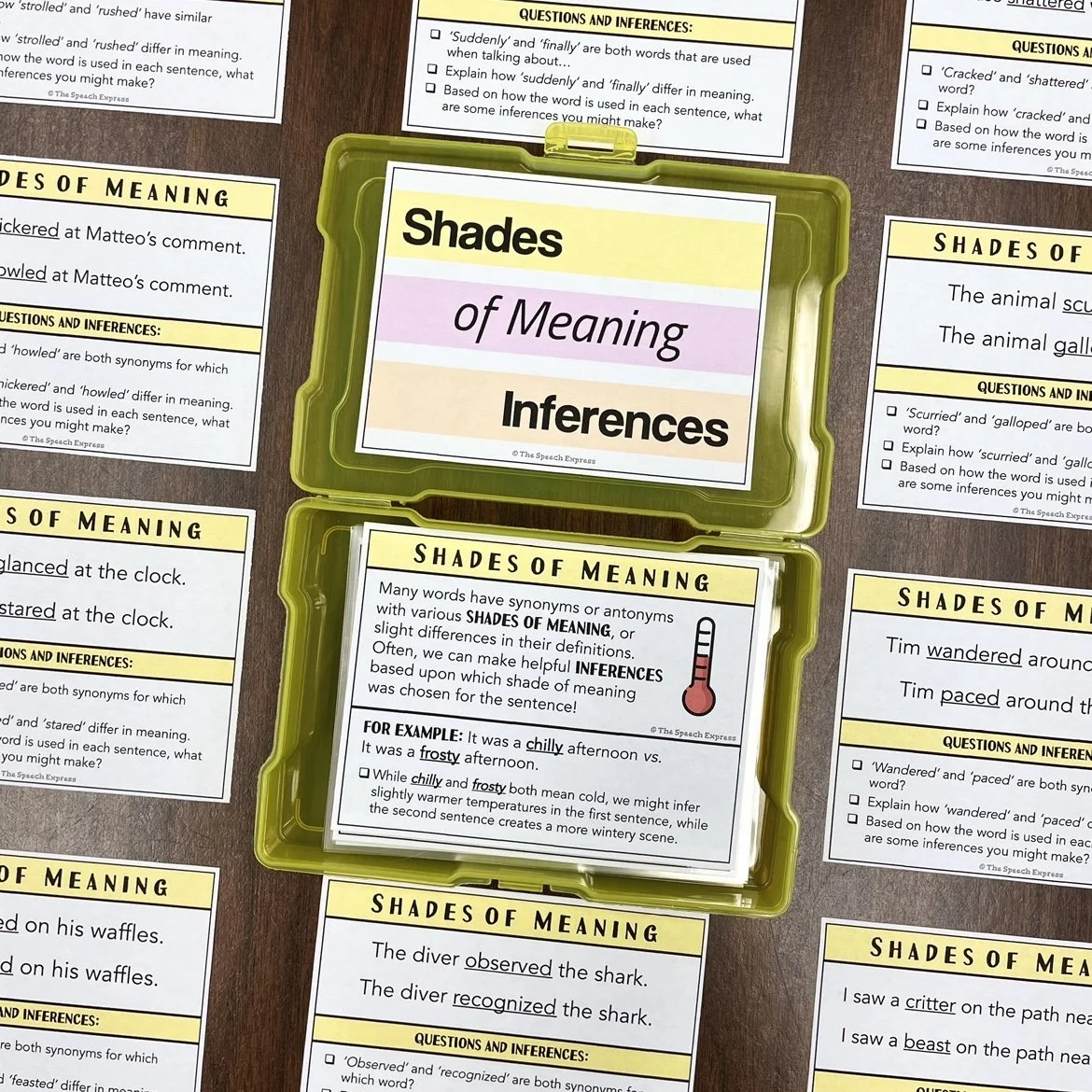 Speech and Language Resources — The Speech Express