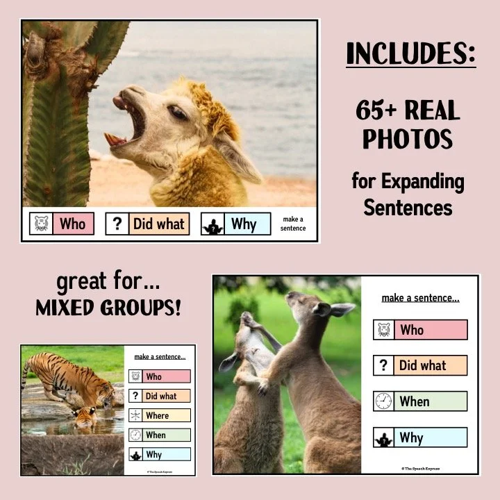 Sports and Hobbies: Expanding Sentences Photo Cards — The Speech Express