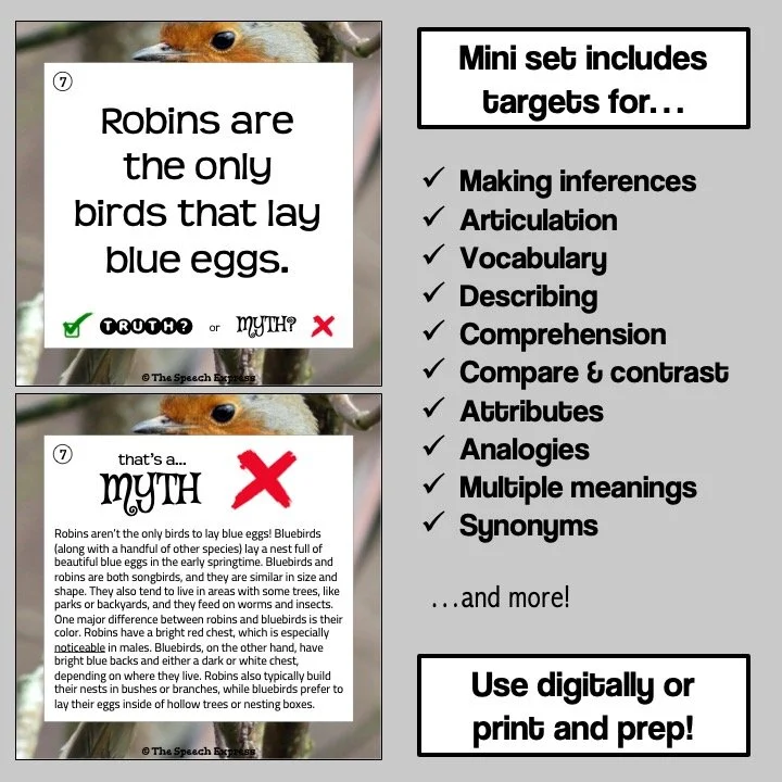 SPRING Themed Intelligibility Strategies Task Cards — The Speech Express