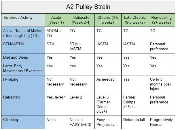 A2 Pulley Rehab Manual — Hooper's Beta