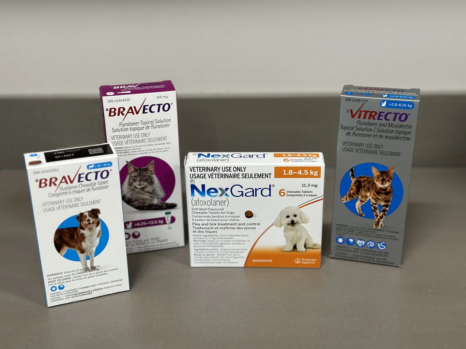 Ticks are here! — Cedarview Animal Hospital