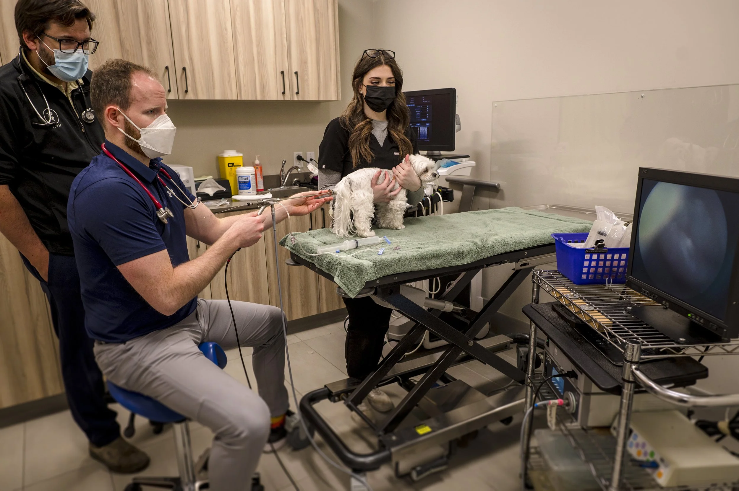 Reproduction — Cedarview Animal Hospital