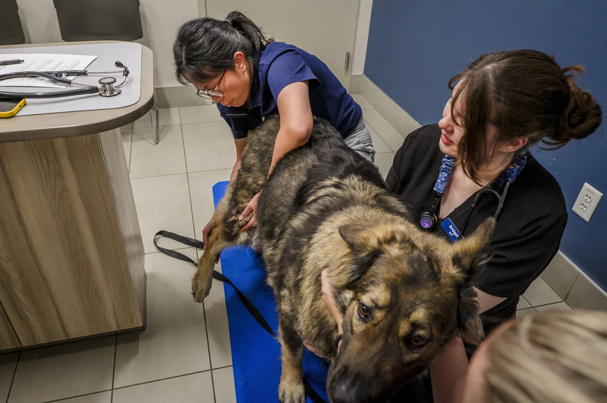 Cedarview Animal Hospital