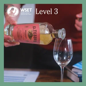 ONLINE WSET – Level 2 Award in Wine Course — The Wine & Spirit Archive ...
